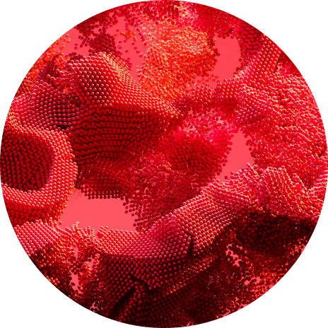 Coloro | The Color System