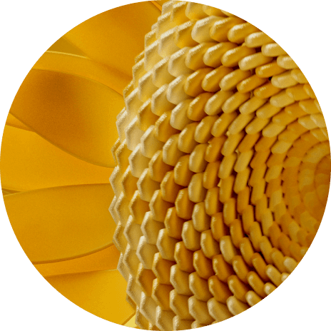 Coloro | The Color System